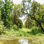 New Orleans: Bayou Tour in Jean Lafitte National Park - Why This Tour Works for Travelers