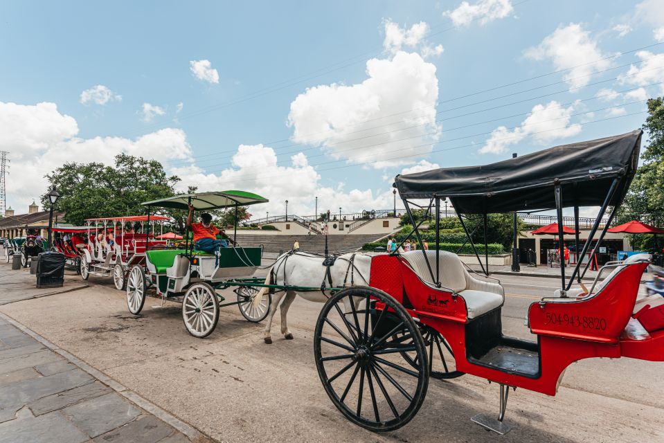 New Orleans: City Sightseeing Hop-On Hop-Off Bus Tour - The Pros and Cons