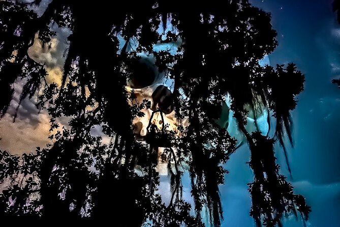 New Orleans Dead of Night Ghosts and Cemetery Bus Tour - Who Will Love This Tour?