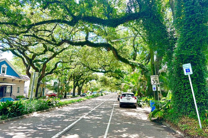New Orleans Driving Tour of Bayou St. John, City Park, Treme etc - The Sum Up