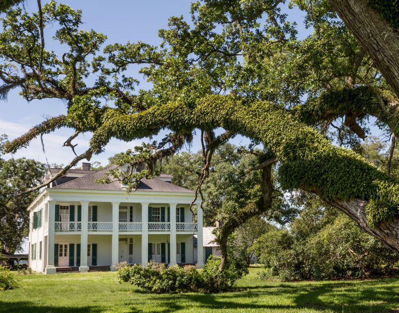 New Orleans: Felicity Plantation Guided Tour - Discovering the Heart of Louisiana’s Sugarcane Heritage