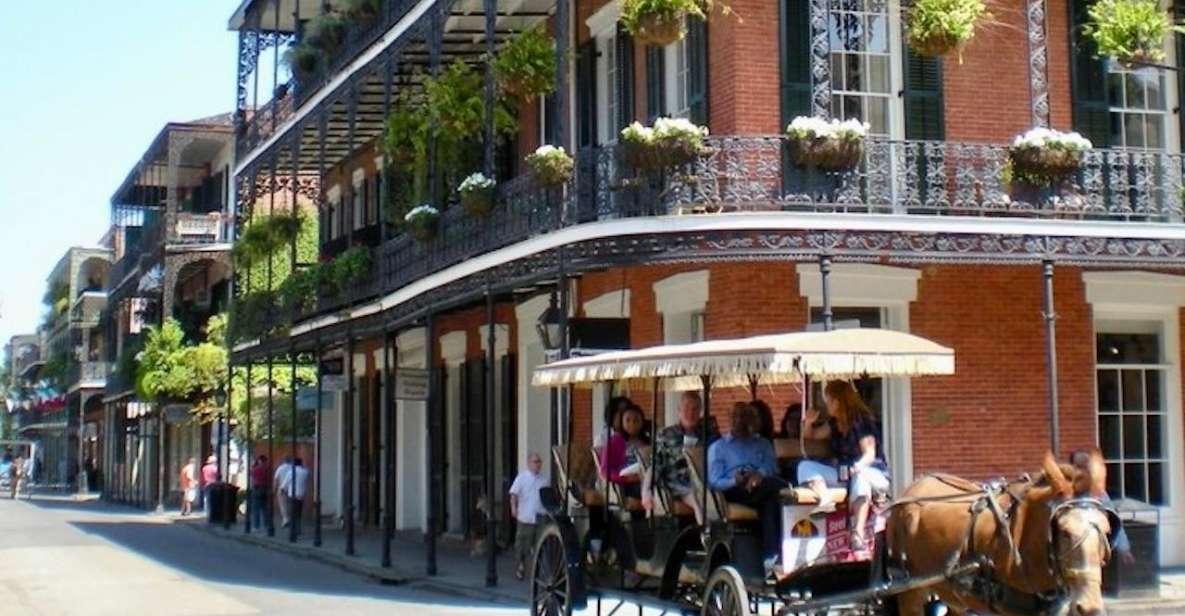 New Orleans: Food Walking Tour & Cooking Class Experience - Who Will Love This Tour?