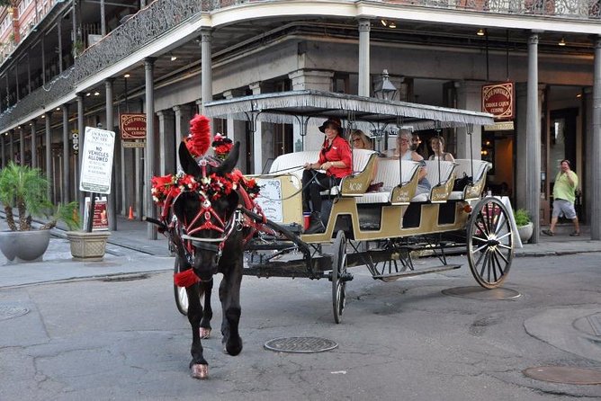 New Orleans French Quarter and More Carriage Ride - Who Is This Tour Best For?