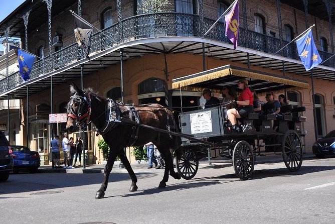 New Orleans French Quarter and More Carriage Ride - Final Thoughts