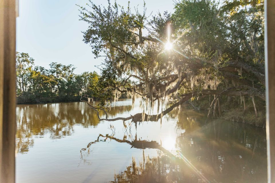 New Orleans: Guided Swamp Cruise by Tour Boat - The Value & Experience