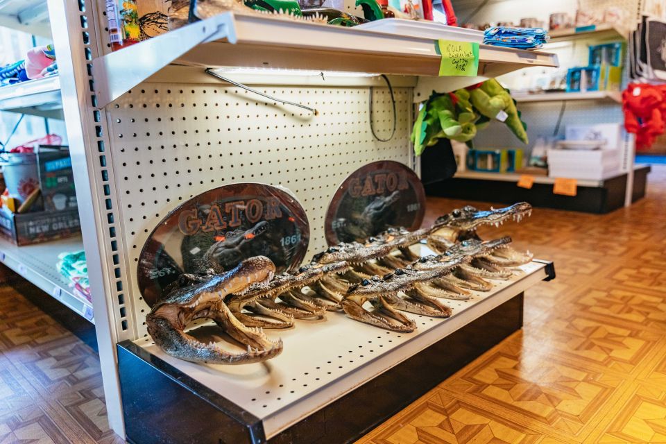 New Orleans: Guided Swamp Cruise by Tour Boat - Authentic Experiences & Real Talk from Reviews