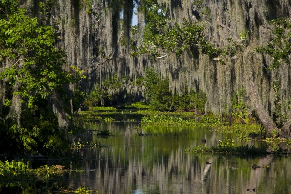 New Orleans: High Speed 9 Passenger Airboat Tour - Frequently Asked Questions