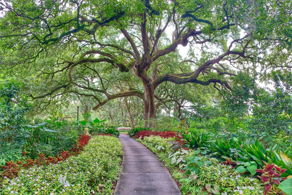 New Orleans: Houmas House Plantation Tour - An In-Depth Look at the Houmas House Plantation Tour