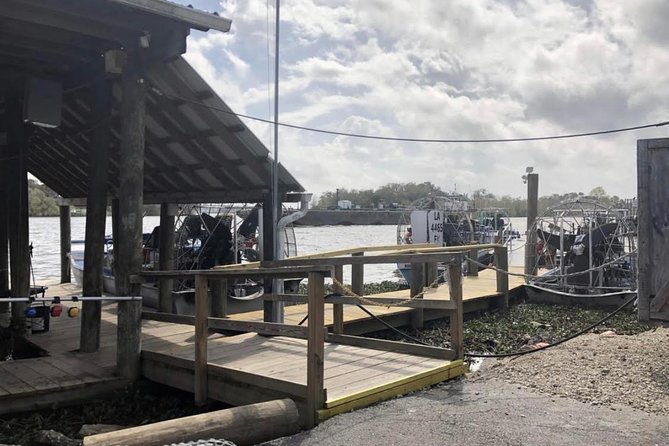 New Orleans Large Airboat Swamp Tour - Considering the Downsides