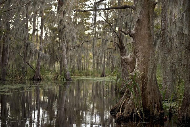 New Orleans Large Airboat Swamp Tour - FAQs