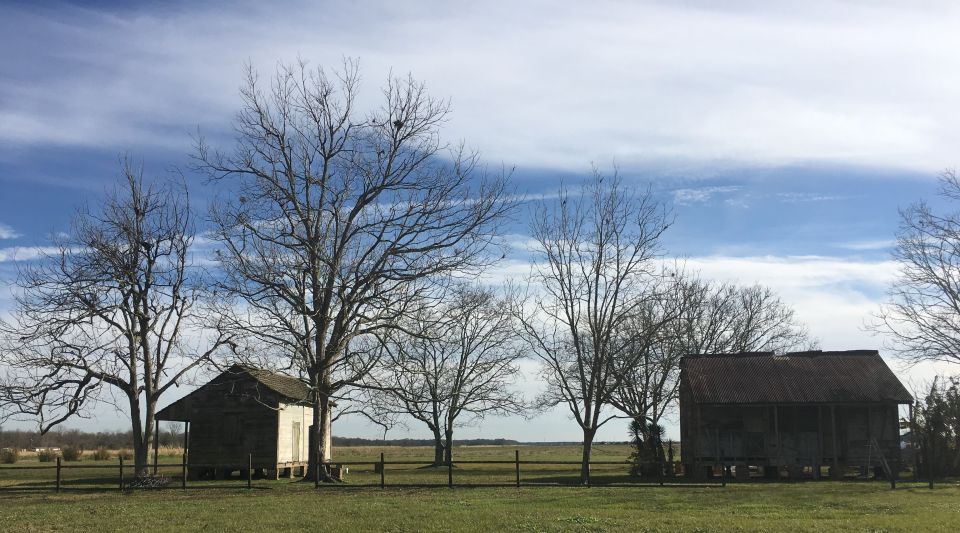 New Orleans: Laura Creole Plantation Guided Tour - The Experience and Guides