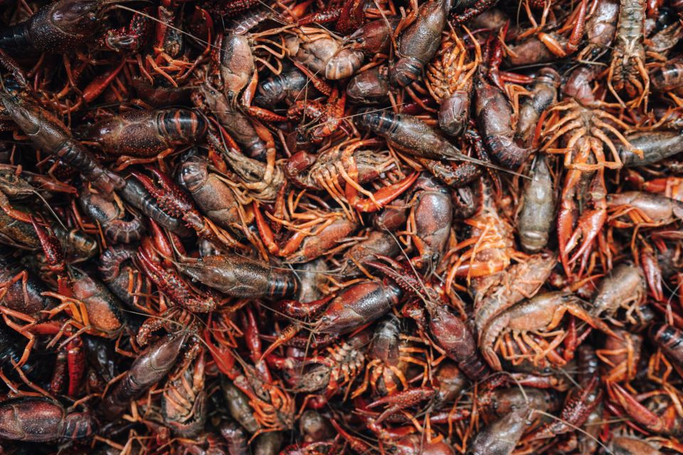 New Orleans' Lower Garden Food Tour - Key Points