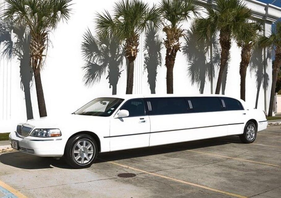 New Orleans: Luxury Limousine Transportation Service - Who is This Tour Best Suited For?