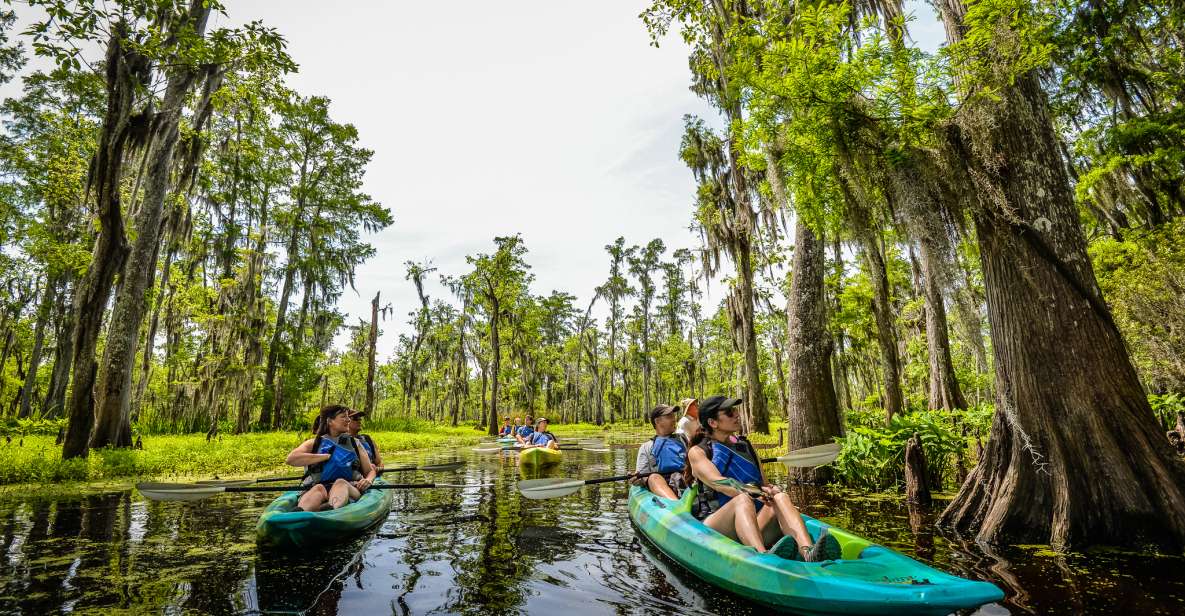 New Orleans: Manchac Magic Kayak Swamp Tour - Practical Details and Tips for Your Trip