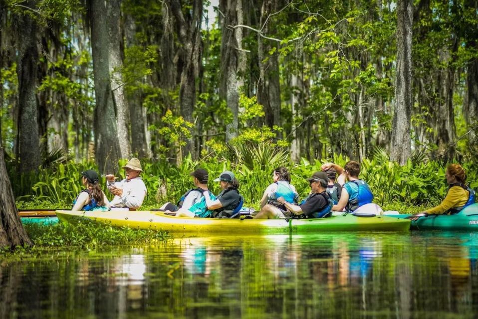New Orleans: Manchac Magic Kayak Swamp Tour - How the Experience Differs from Other Tour Options
