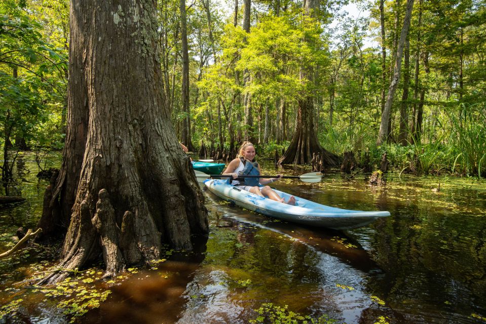 New Orleans: Manchac Magic Kayak Swamp Tour - The Sum Up: Is It Worth It?