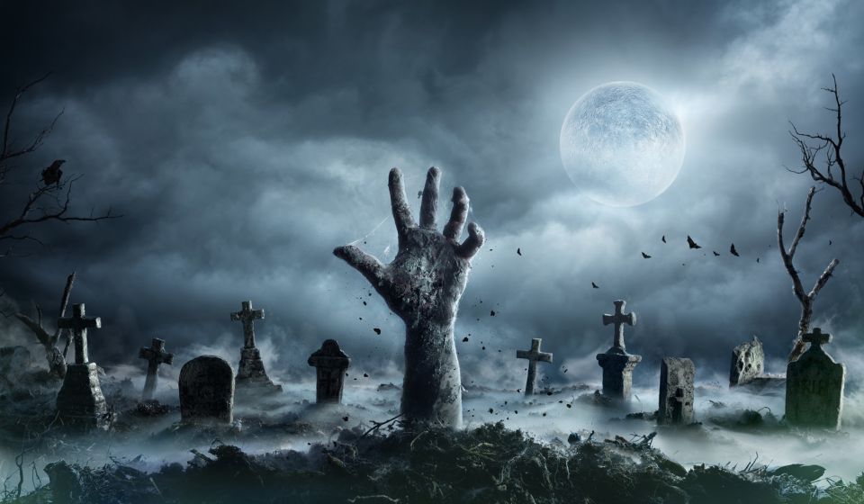 New Orleans: Night Cemetery and Ghost BYOB Bus Tour - What to Expect from the Night Cemetery & Ghost Tour
