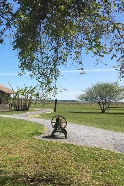 New Orleans: Oak Alley & Laura Plantation Tour w/Transport - Key Points