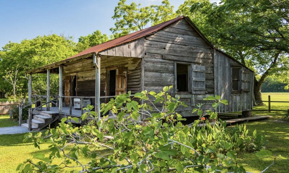 New Orleans: Oak Alley or Laura Plantation & Airboat Tour - Exploring Louisiana’s Charm: Oak Alley or Laura Plantation & Airboat Tour