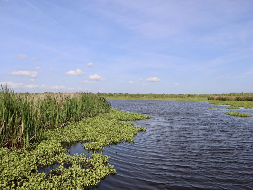 New Orleans: Oak Alley or Laura Plantation & Airboat Tour - What To Expect on the Day