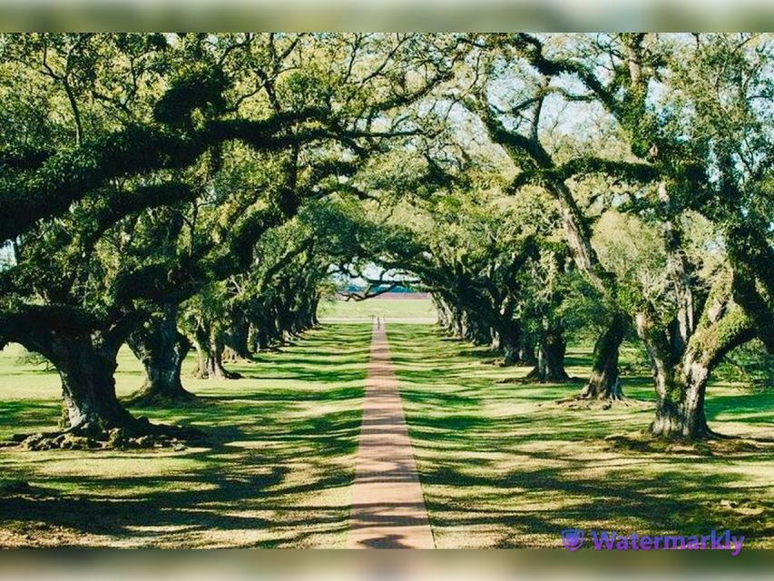 New Orleans: Oak Alley Plantation and Katrina City Tour - Deep Dive into the Itinerary
