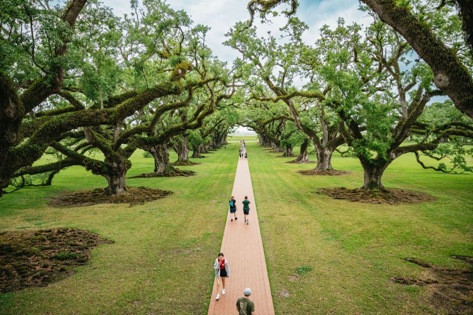 New Orleans: Oak Alley Plantation and Swamp Cruise Day Trip - Value and Practical Considerations