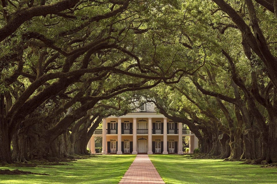New Orleans: Oak Alley Plantation Half Day Tour - An In-Depth Look at the Tour Experience