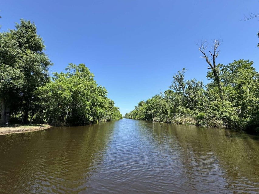 New Orleans: Oak Alley Plantation -N- Swamp Tour Full Day - FAQs