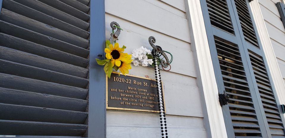 New Orleans: Pestilence and Plagues Guided Tour - Who Will Love This Tour?
