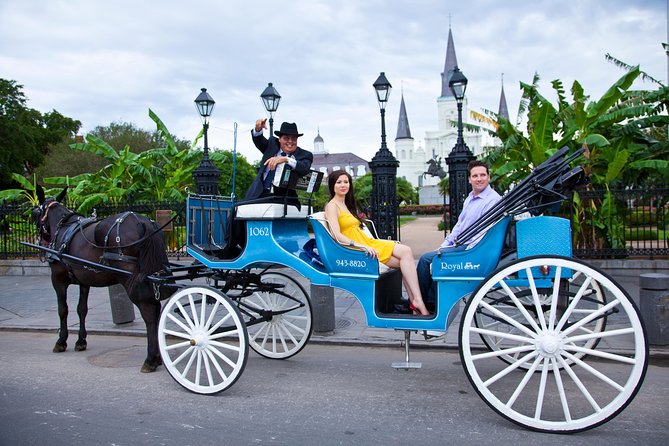 New Orleans Private Carriage Tour of the French Quarter - The Value of a Private, Custom Experience