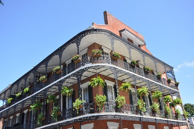 New Orleans Private Carriage Tour of the French Quarter - The Perfect Fit: Who Should Consider This Tour?