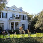 New Orleans Private City and Cemetery Tour - Up to 24 Passengers - In-Depth Review of the Tour Experience