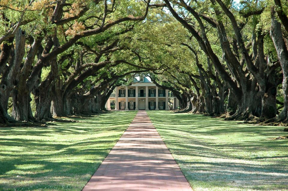 New Orleans: Single Plantation and Pontoon Swamp Day Trip - The Itinerary Breakdown: What You Can Expect