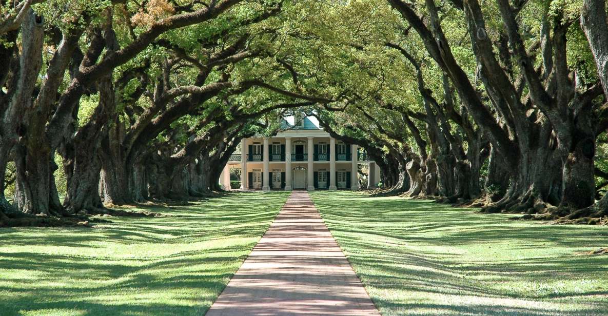 New Orleans: Single Plantation and Pontoon Swamp Day Trip - What’s Included and What to Keep in Mind