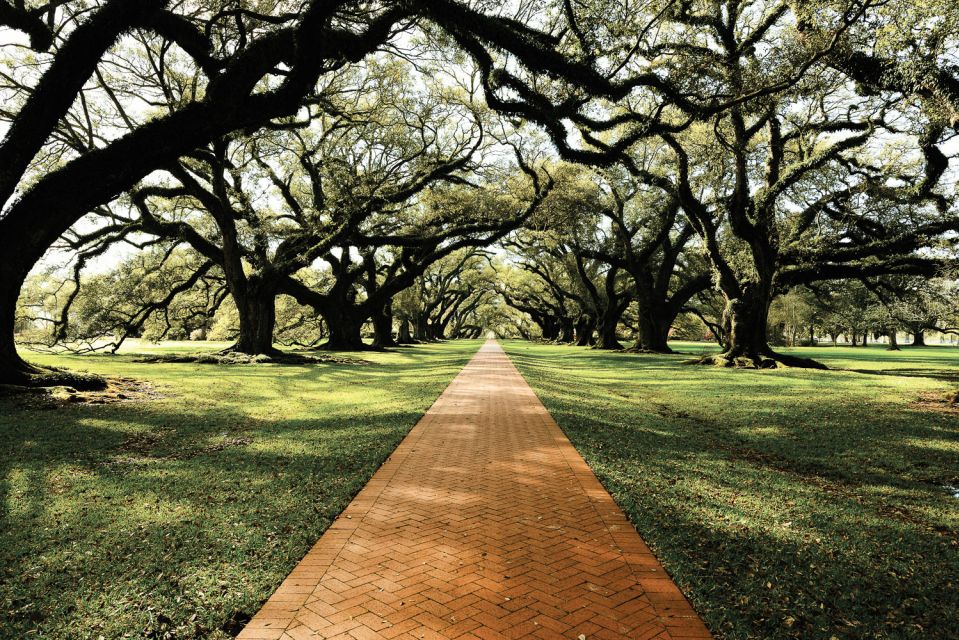 New Orleans: Single Plantation and Pontoon Swamp Day Trip - Who Should Consider This Tour?