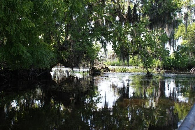 New Orleans Small-Group Airboat Swamp Tour - The Ride: Speed, Scenery, and Wildlife
