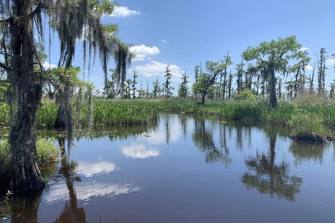 New Orleans Small-Group Airboat Swamp Tour - The Small-Group Advantage
