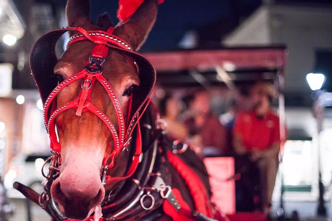 New Orleans Small-Group Haunted History Carriage Tour - What’s Included and How to Maximize Value