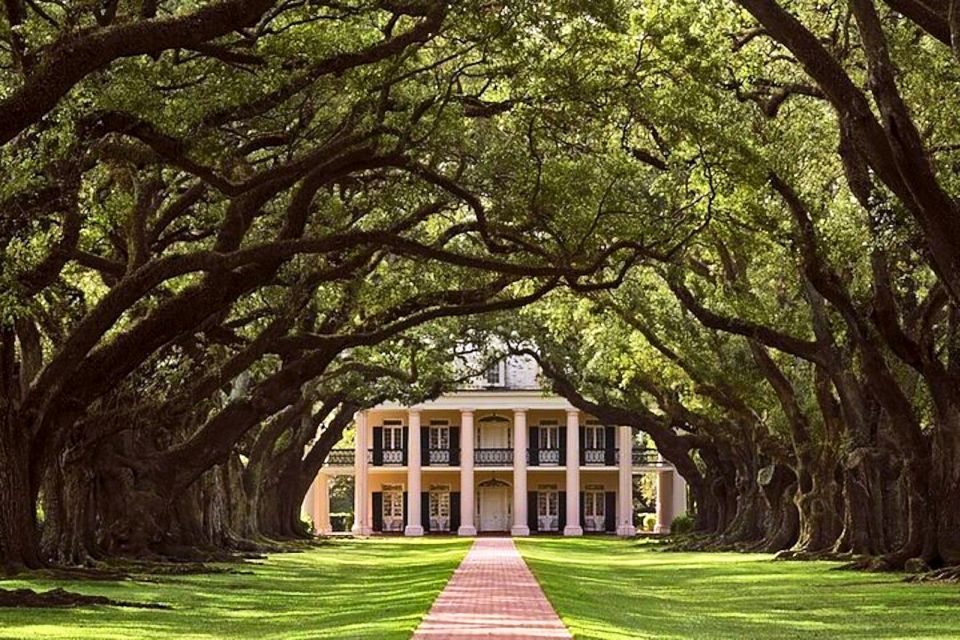 New Orleans: Swamp Boat Ride and Historic Plantation Tour - What You Can Expect from This Tour