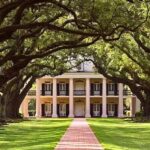New Orleans: Swamp Boat Ride and Historic Plantation Tour - The Swamp Boat Ride: Wildlife and Legends