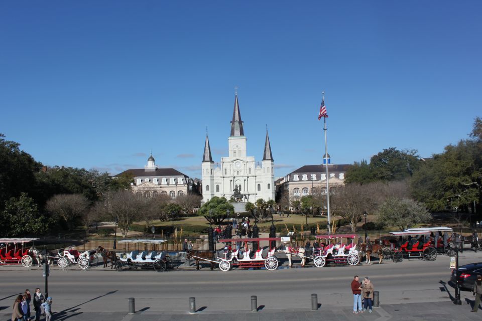 New Orleans: Traditional City and Estate Tour - What to Expect from the Tour