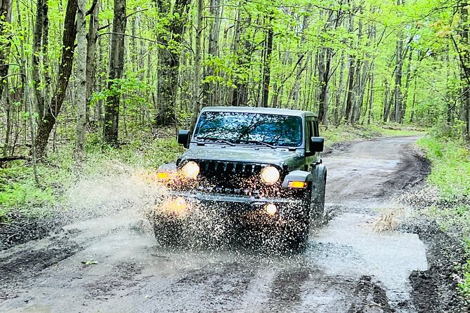 New River Gorge Jeep Tour (Half Day) - Authentic Insights from Travelers
