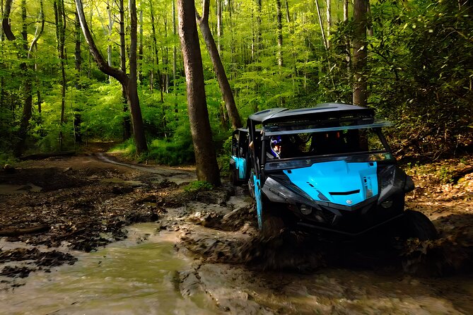 New River Gorge Side by Side Family Tour - Key Points