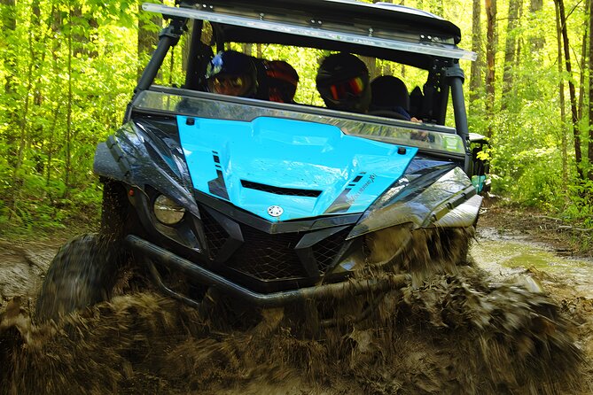 New River Gorge Side by Side Family Tour - What to Expect from the Tour
