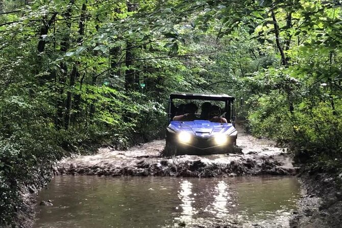 New River Gorge Side by Side Family Tour - Who Will Love This Tour?