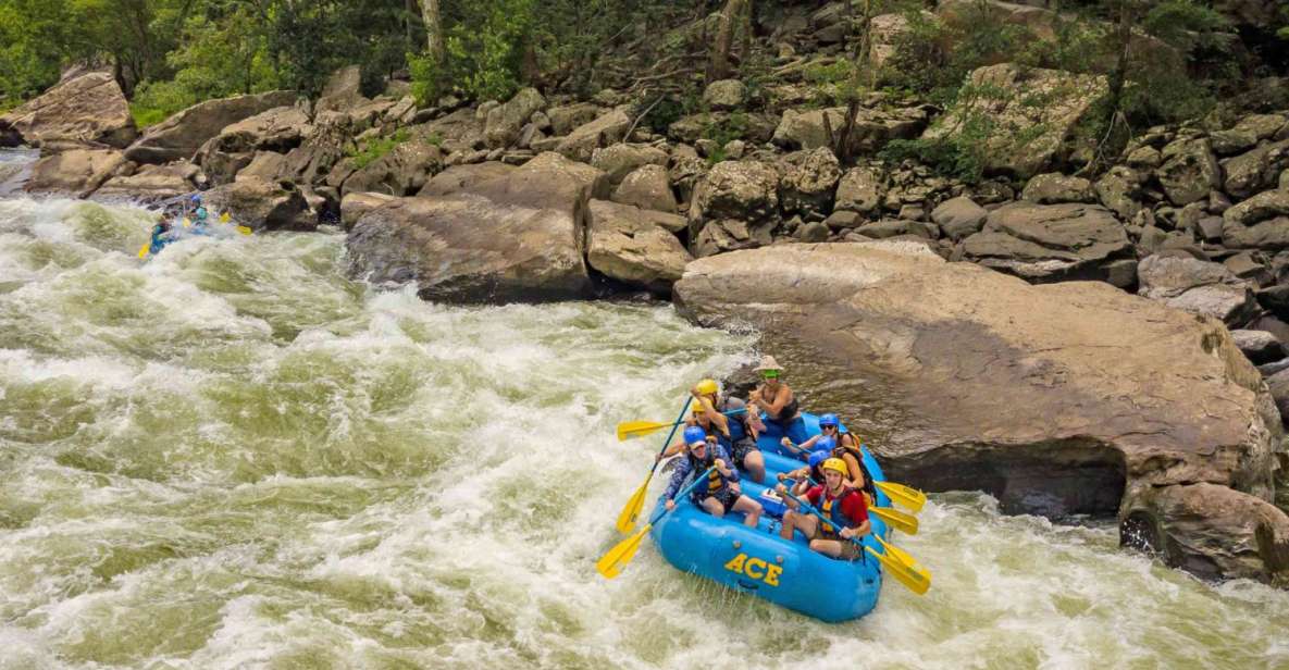 New River Gorge Whitewater Rafting - Lower New Full Day - Exploring the New River Gorge Whitewater Rafting - Lower New Full Day