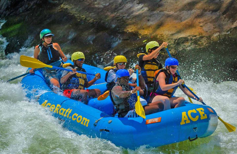 New River Gorge Whitewater Rafting - Lower New Full Day - What Makes This Tour Special