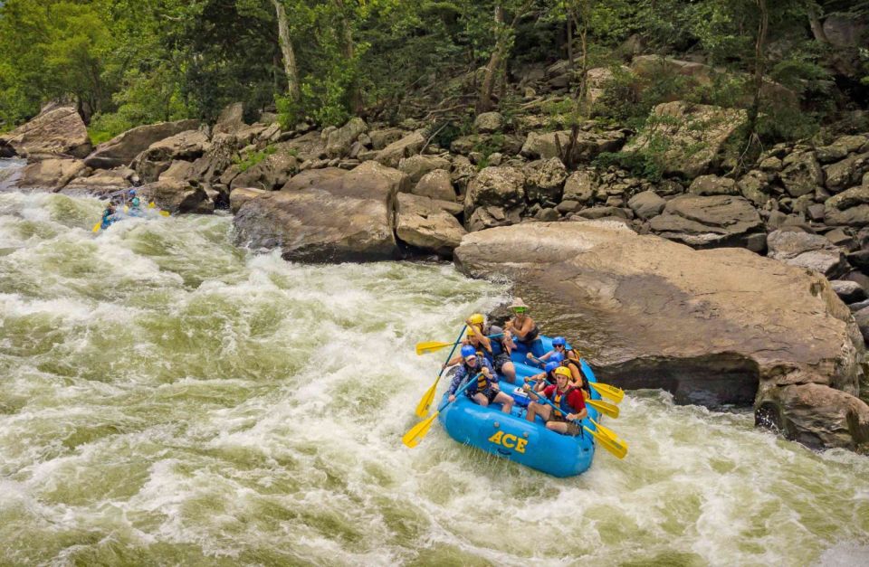 New River Gorge Whitewater Rafting - Lower New Half Day - Practical Tips for Your Rafting Adventure