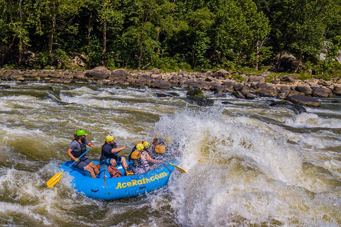 New River Gorge Whitewater Rafting, WV - Lower New Full Day - Key Points  