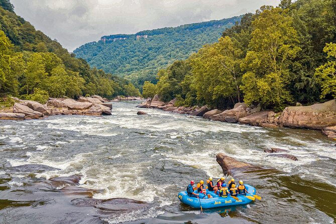 New River Gorge Whitewater Rafting, WV - Lower New Full Day - Discovering the New River Gorge Whitewater Experience